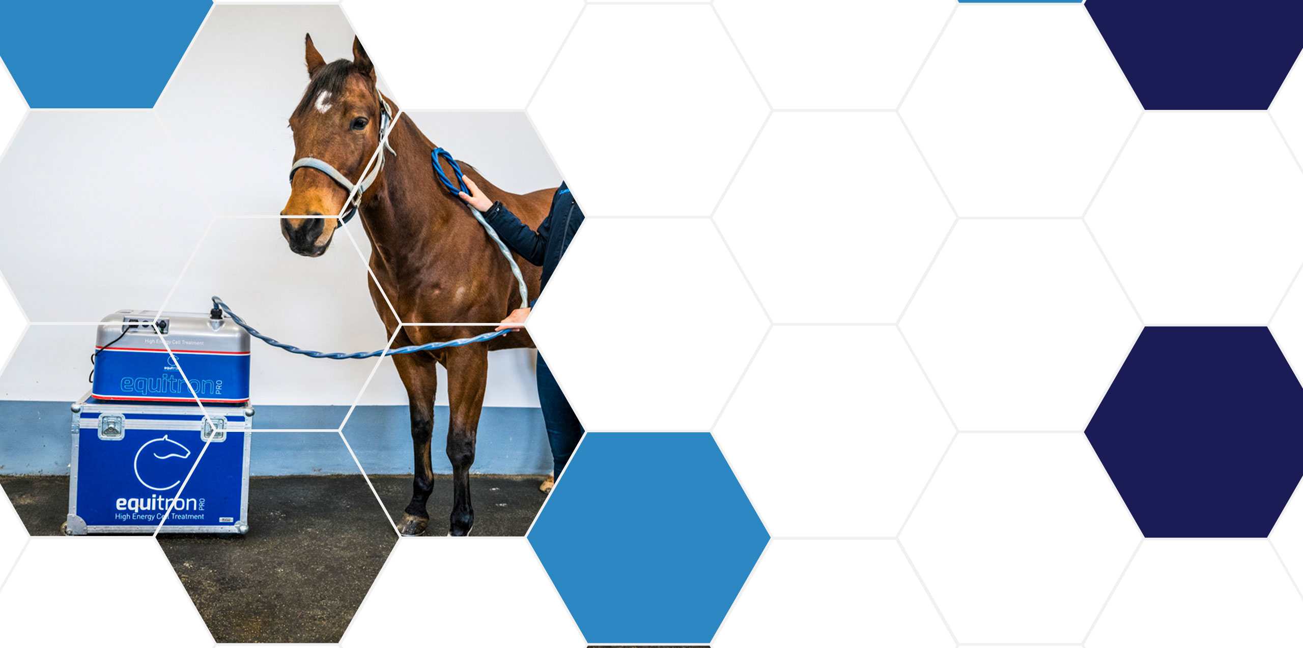 Equitron Pro - REFIT Horse Center