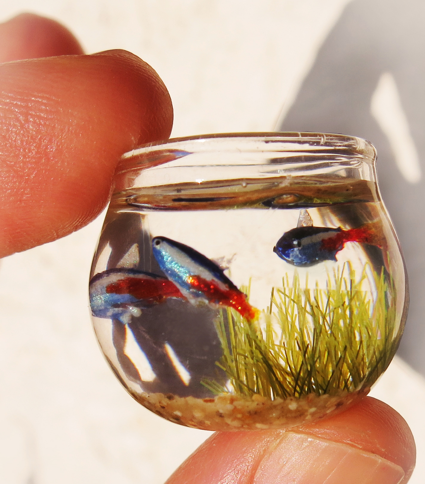 Miniature Aquariums - Fátima Doña's Art