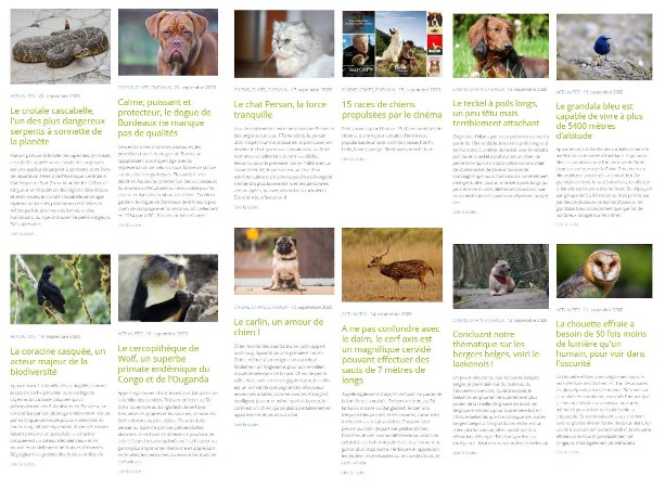 Accueil - Dictionnaire des animaux