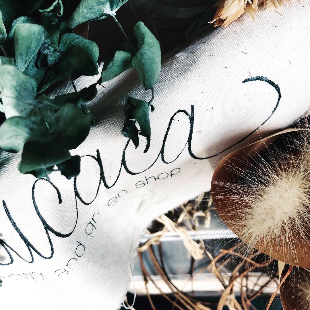 mucaca - mucaca-mucaca ページ！