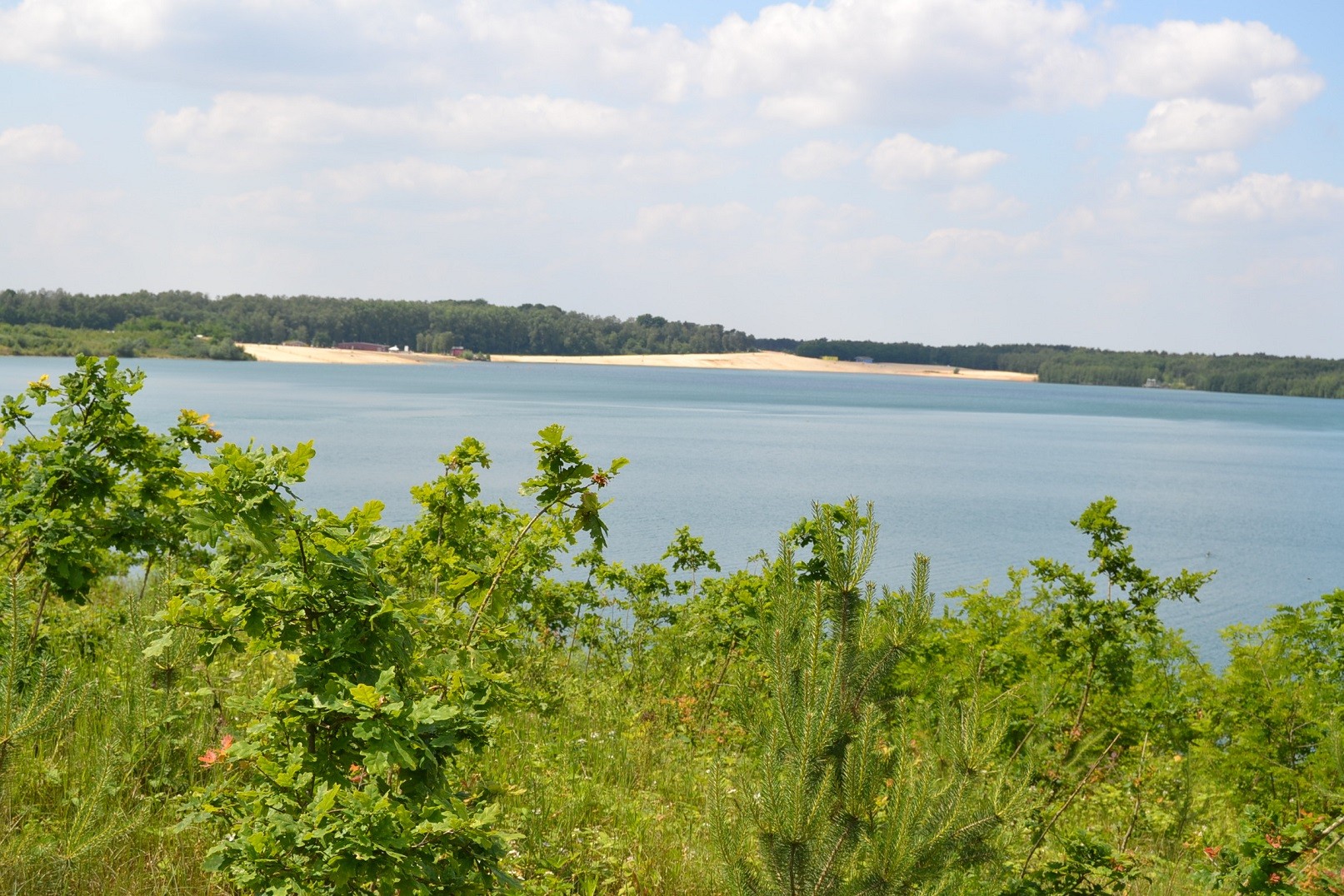 Silbersee 2 / 22. Woche 2014 - silbersee Webseite!