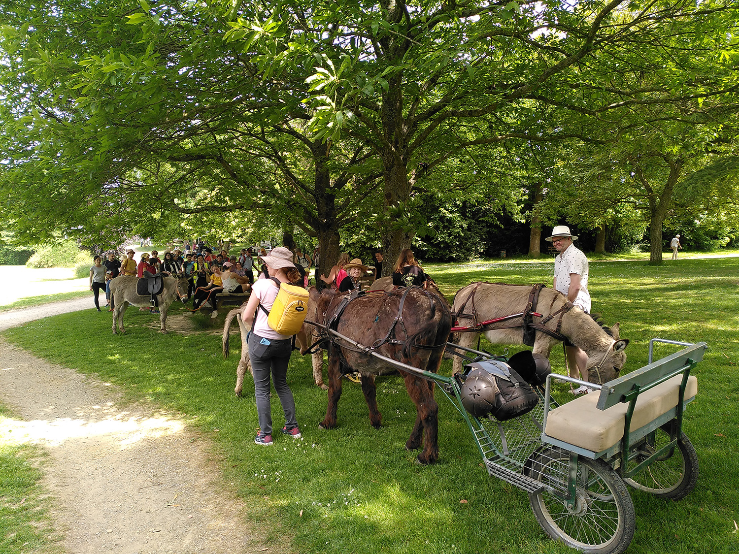 Colchic 21, association de développement durable - Colchic 21