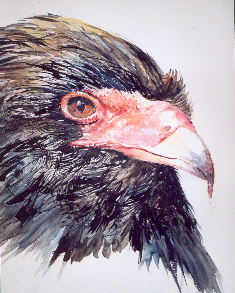 Peintures-dessins - ARTBOULIET SCULPTURE