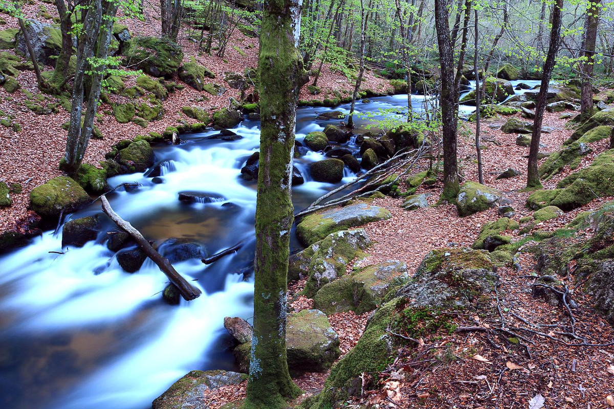 EcoType - Environnement, Territoires, Cartographie - Site de ecotype