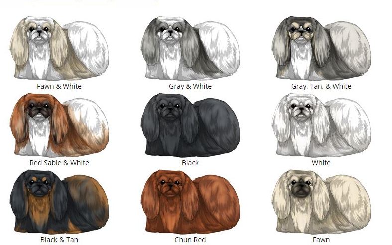 For breed - Сайт Rubinokelias!