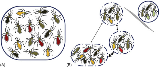 Bio SCORE (Biology Students Companion Resources) - edbiologykmpk