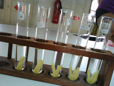 General - edbiologykmpk