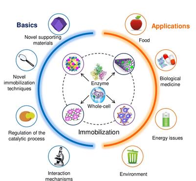 BioTWO: Biology Tutorial Worksheet - edbiologykmpk