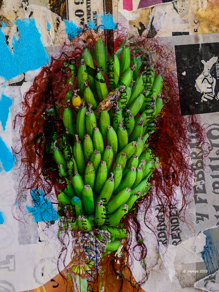 Faces with fruits, food and flowers - Startseite - Gabi Hampe