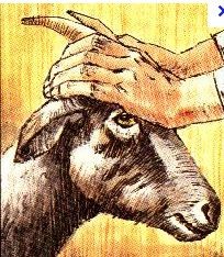 El calendario Hebreo - unciondeloalto jimdo page!