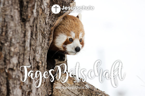 Channeling: Seth - Jesusschule