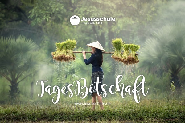 Channeling: Seth - Jesusschule