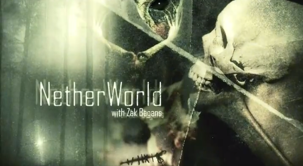 NETHERWORLD: - :: GACFansItaly