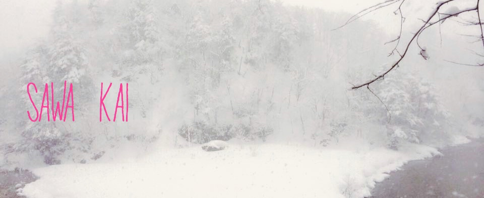 SAWA会 イベント - さわ会 in 新潟・東京