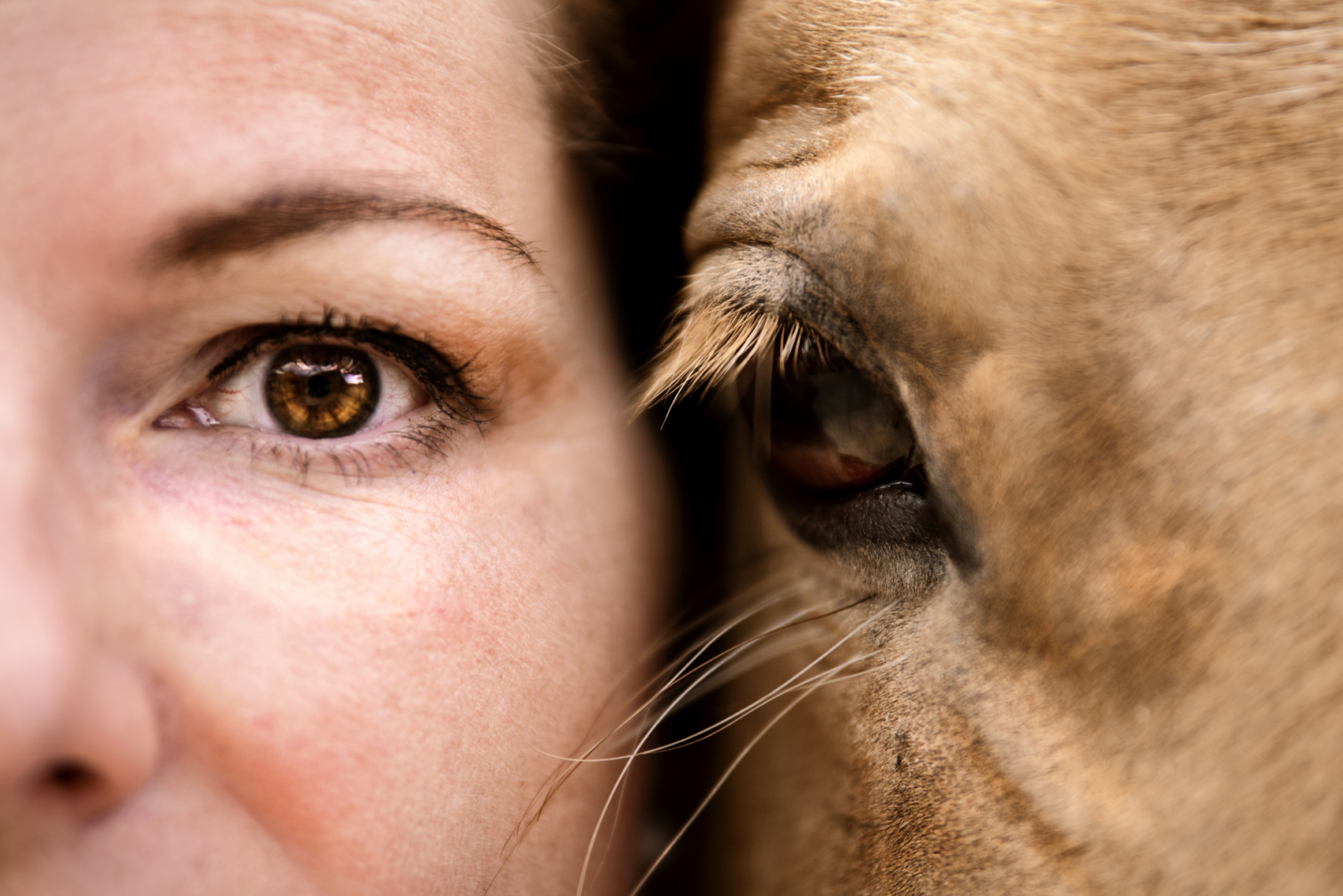 Pferdegebiss - Dentequi - Dr. med. vet. Melanie Martin und Graeme ...