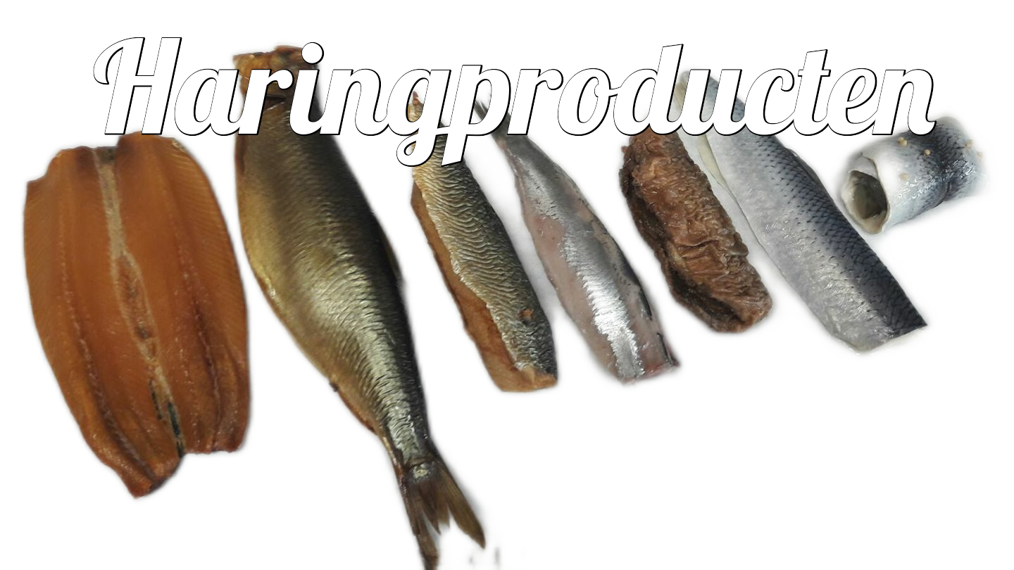 Hollandse Nieuwe; Haringweetjes van vangst tot consumptie ...