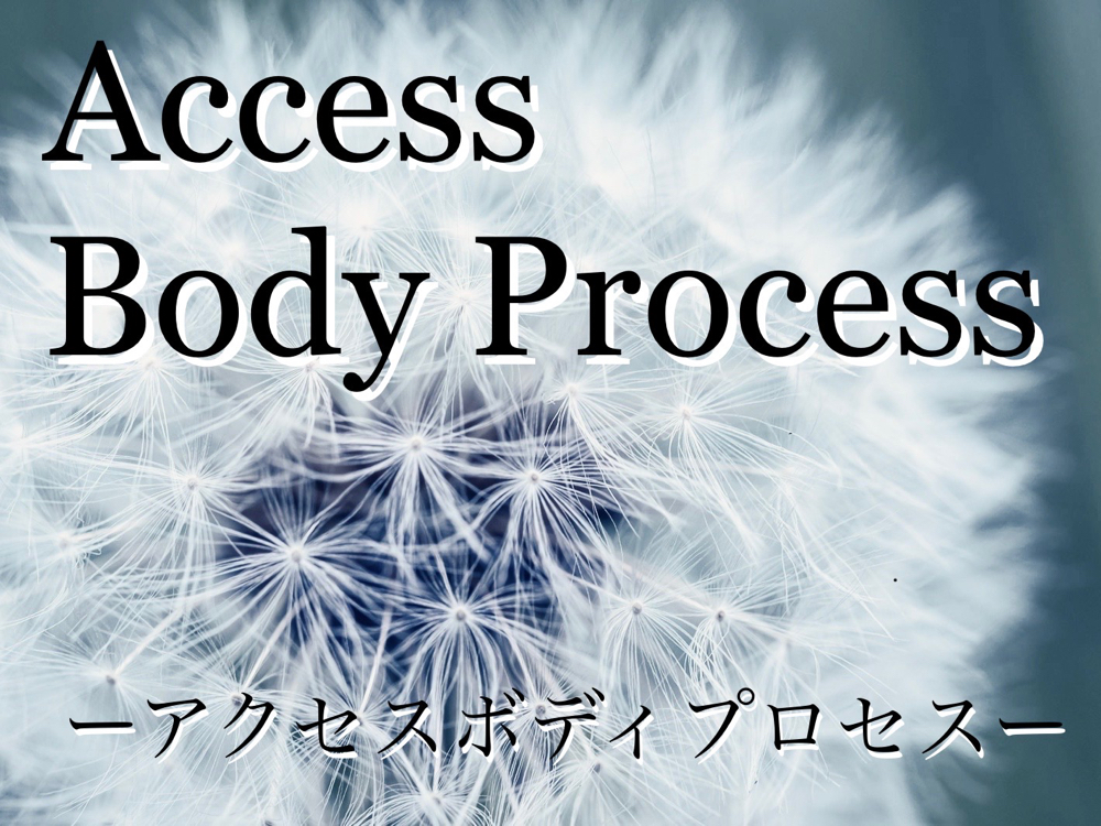 Access Body Process - you-neo ページ！