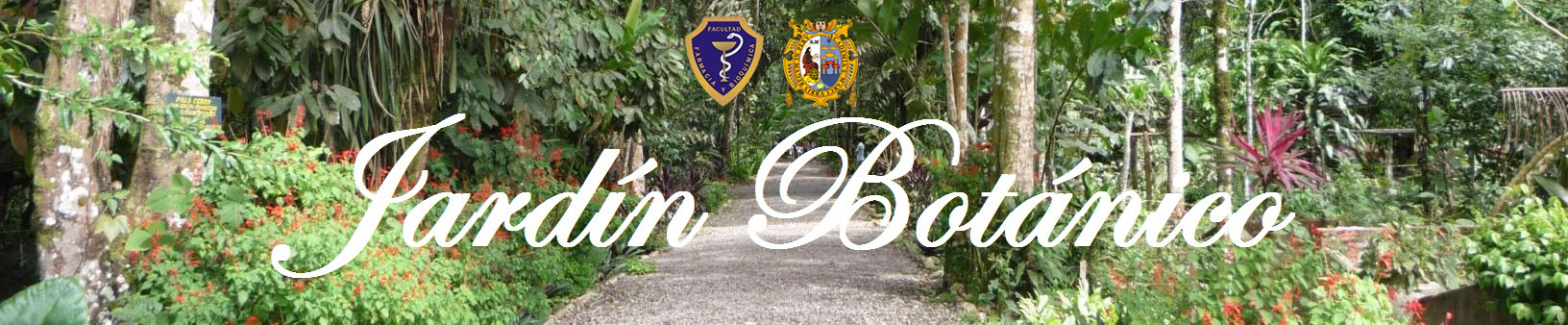 RECORRIDO VIRTUAL AL JARDÍN BOTÁNICO - Página web de jardinbotanicoffybb