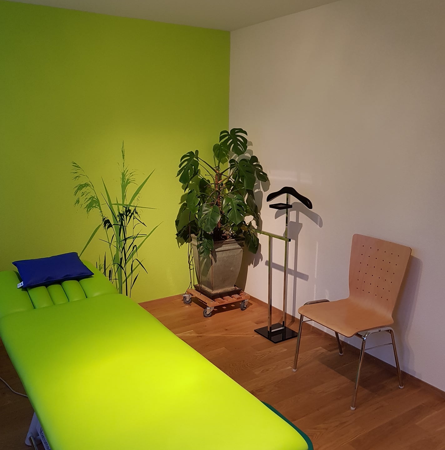 FDM (Faszien Distorsions Modell nach Steven Typaldos) - Physiotherapie ...