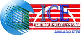 DC-5 COMPROBANTES STPS - CAPACITACION EMPRESARIAL ICE