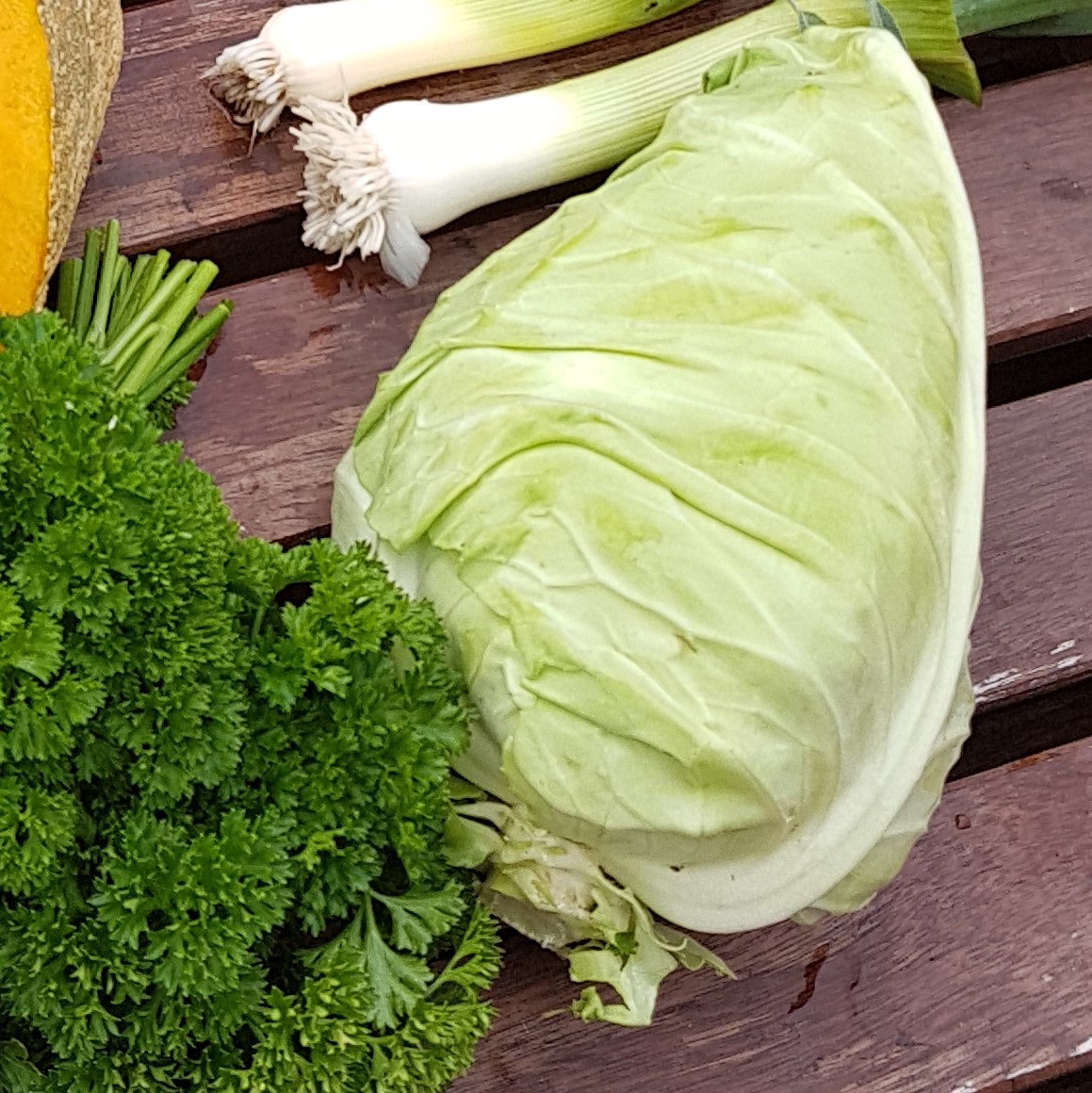 60 Gemüsesorten in 60 Tagen: Filderkraut - Tanjas Küchengarten in ...
