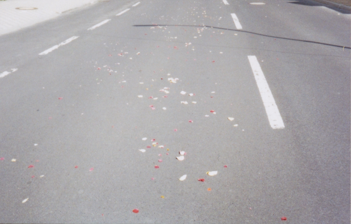 Lisztstraße - 萬谷衣里 オフィシャルサイト Eri Mantani Official Web Site