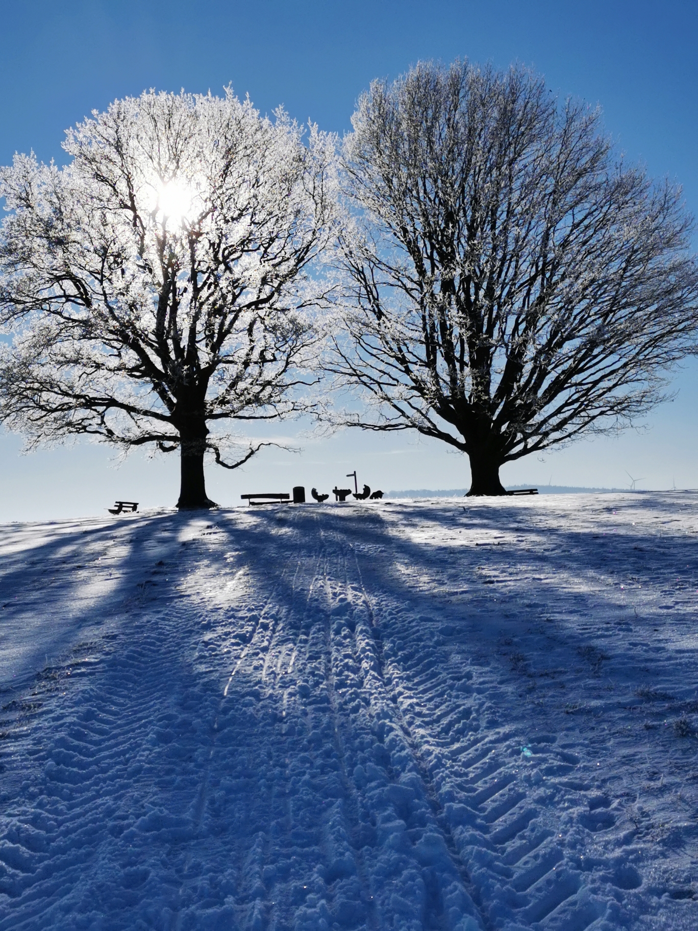vermittlung von angeboten - Mitteldeutscher Sängerbund