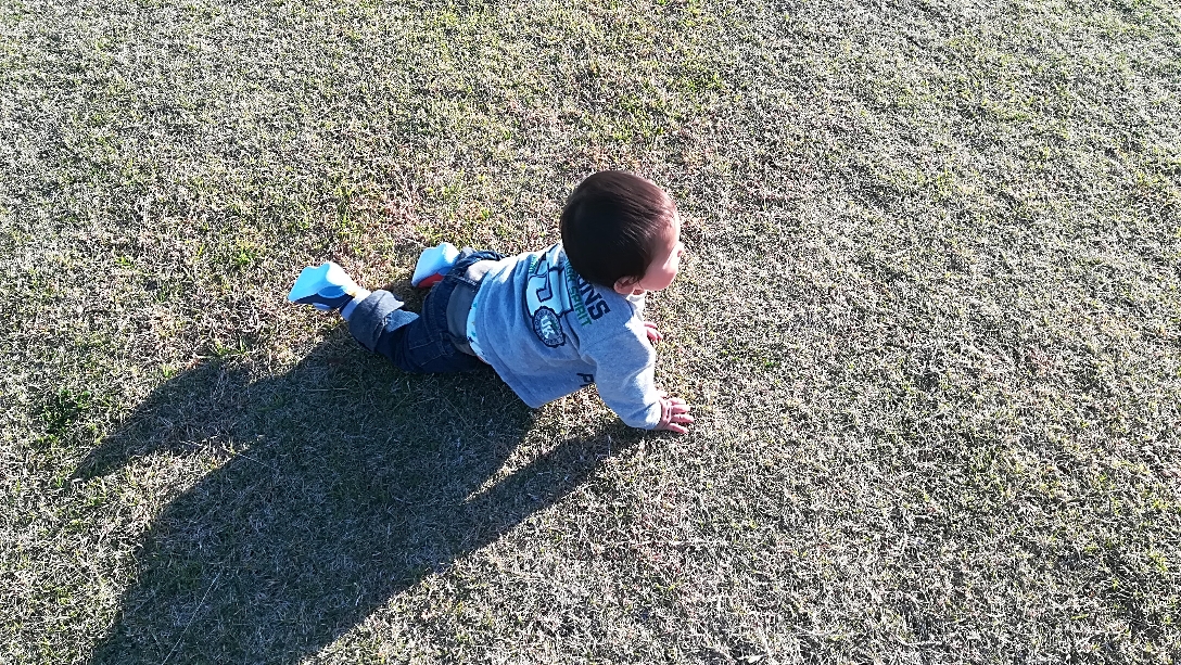 初ブログ - swampoffice ページ！