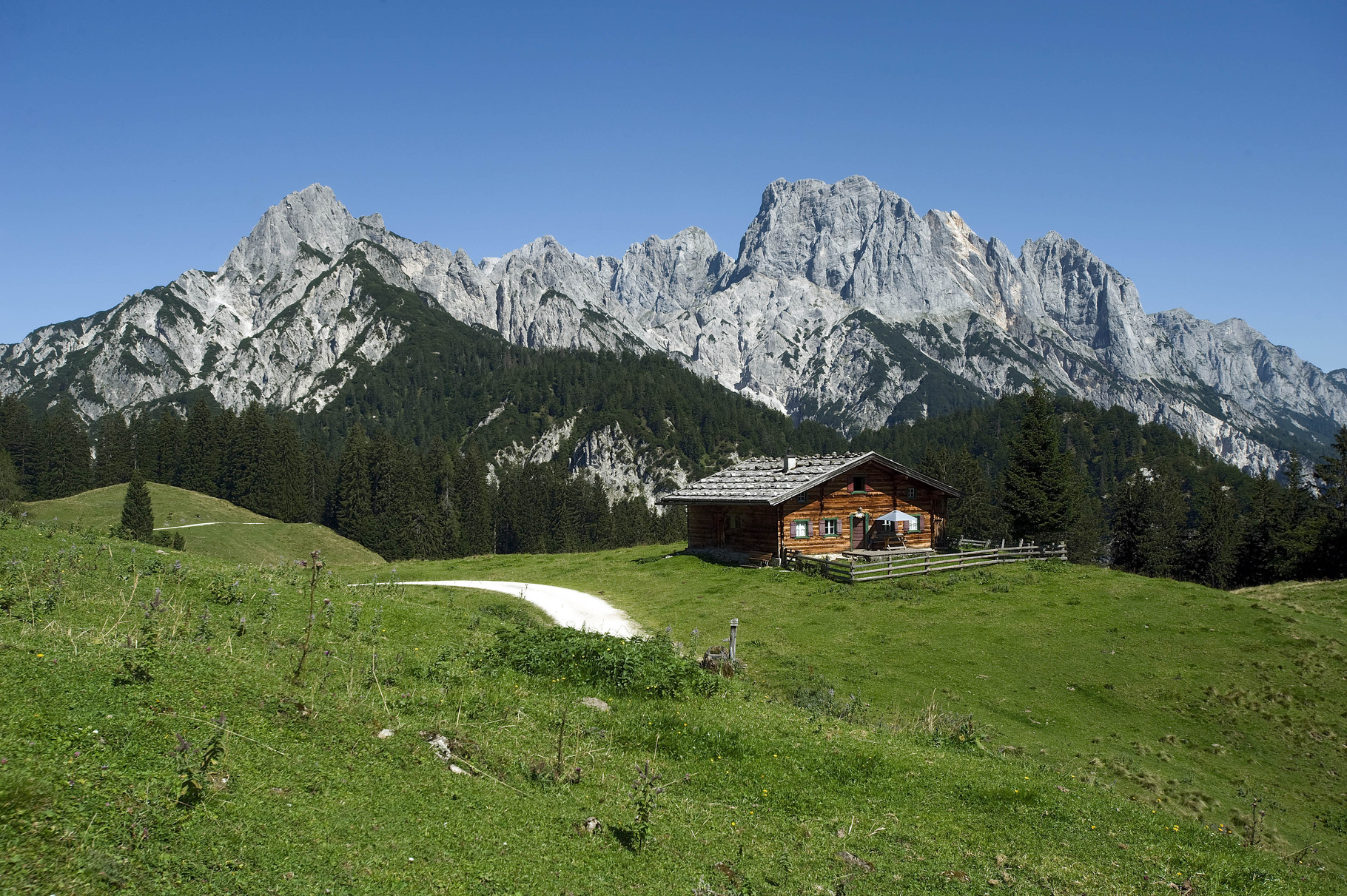 Litzlalm - Naturparkgemeinde Weißbach bei Lofer | Österreich