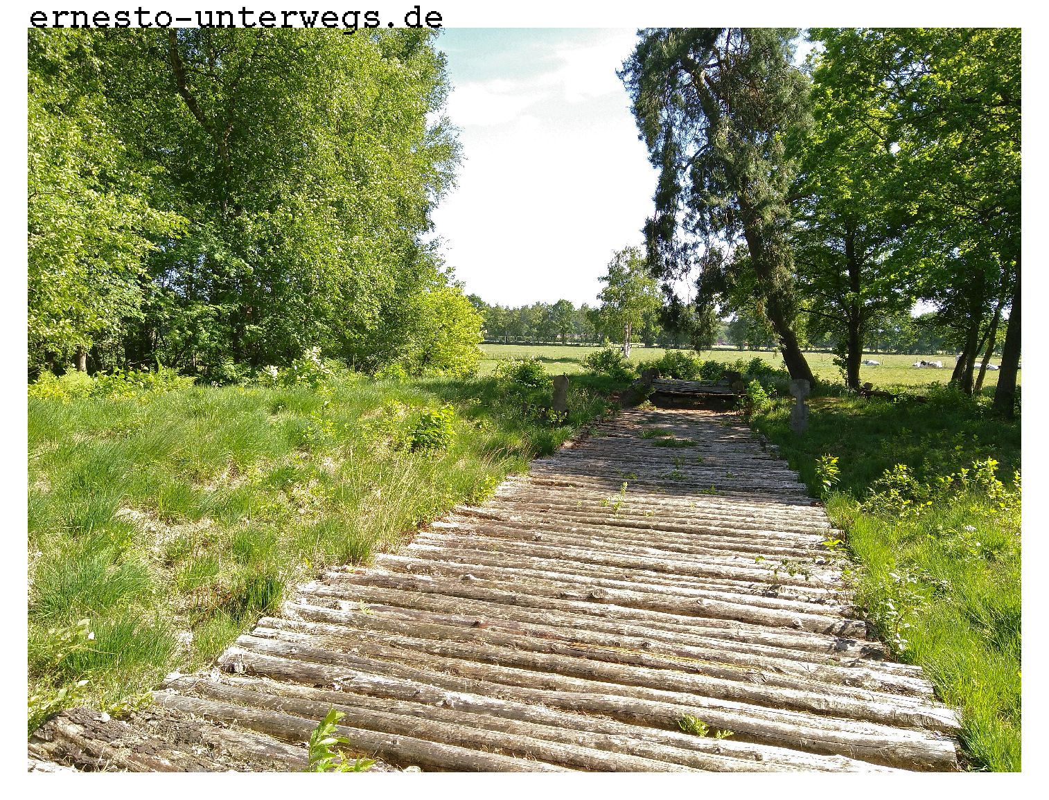 Ein bisschen Baskerville und Uralte Morla - Der Reiserabe berichtet aus ...