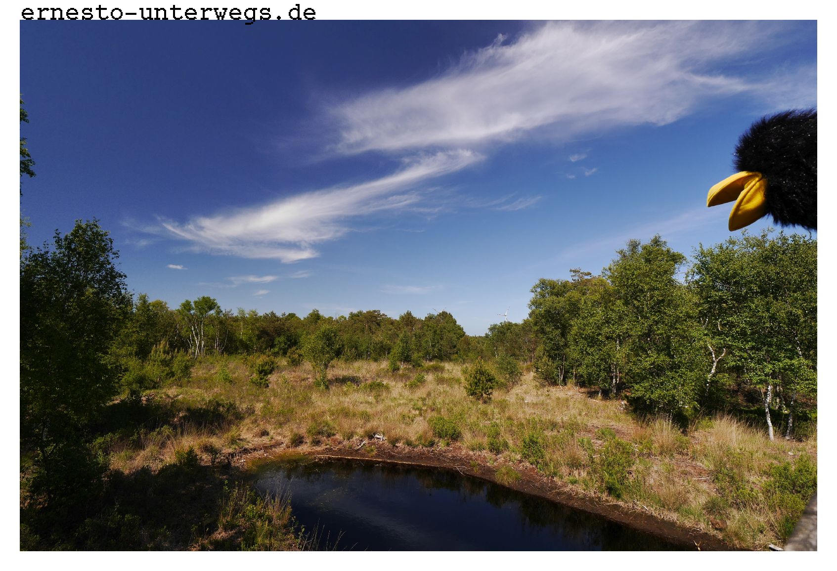 Ein bisschen Baskerville und Uralte Morla - Der Reiserabe berichtet aus ...