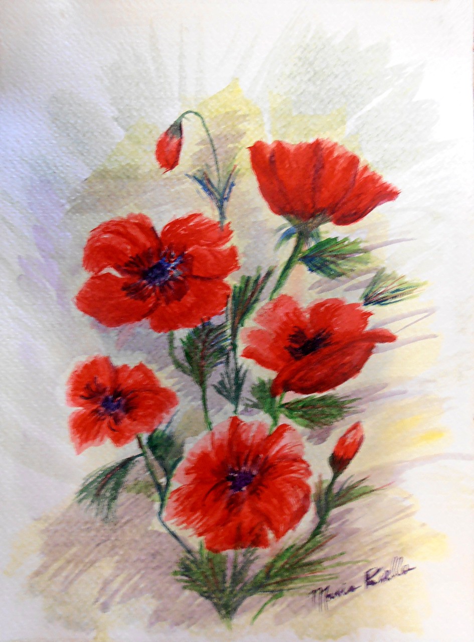 PANELLA MARIA - isocis JimdoPage!