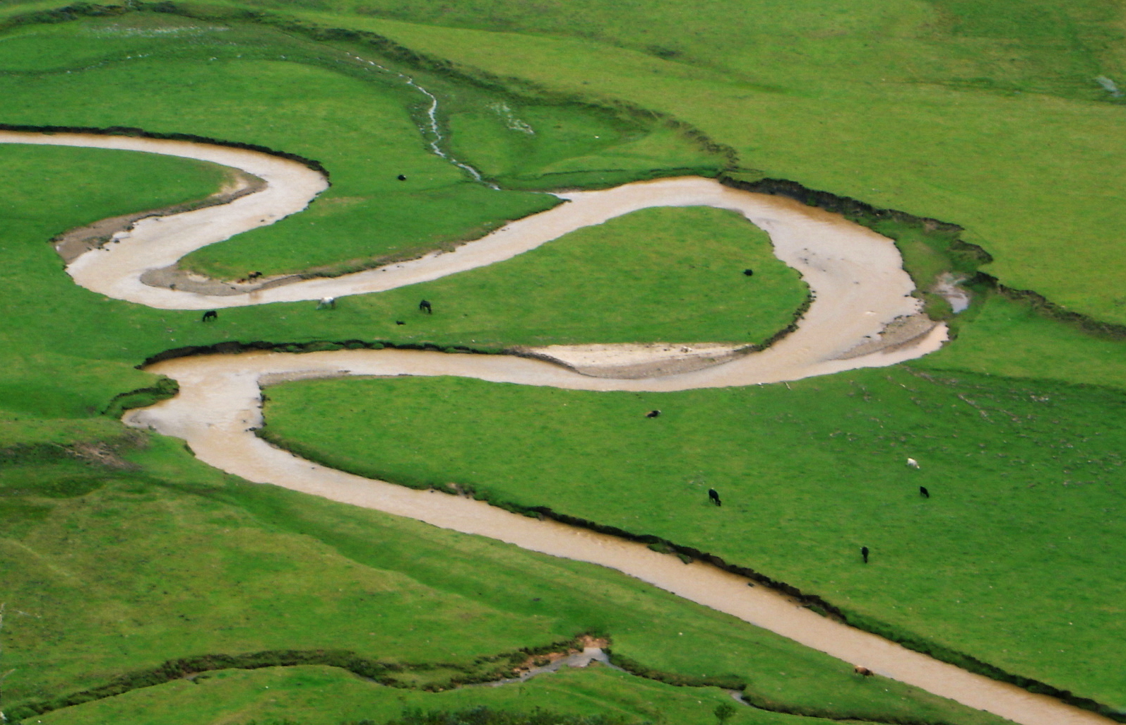 Pourquoi la collapsologie ? - Site de collapsologie2022