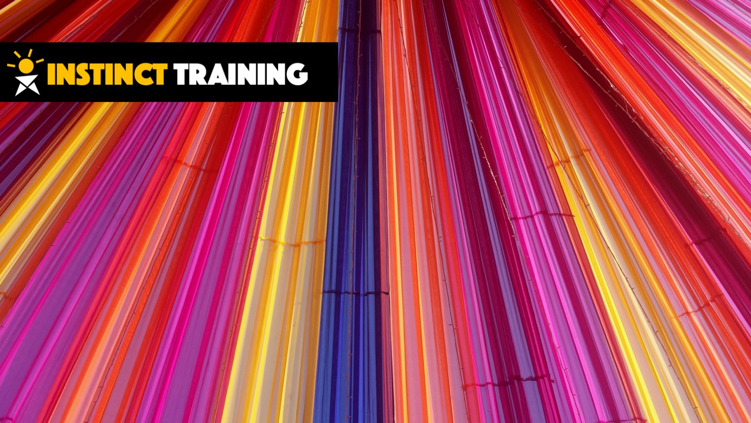 Instinct Training - Instinct Present Coaching