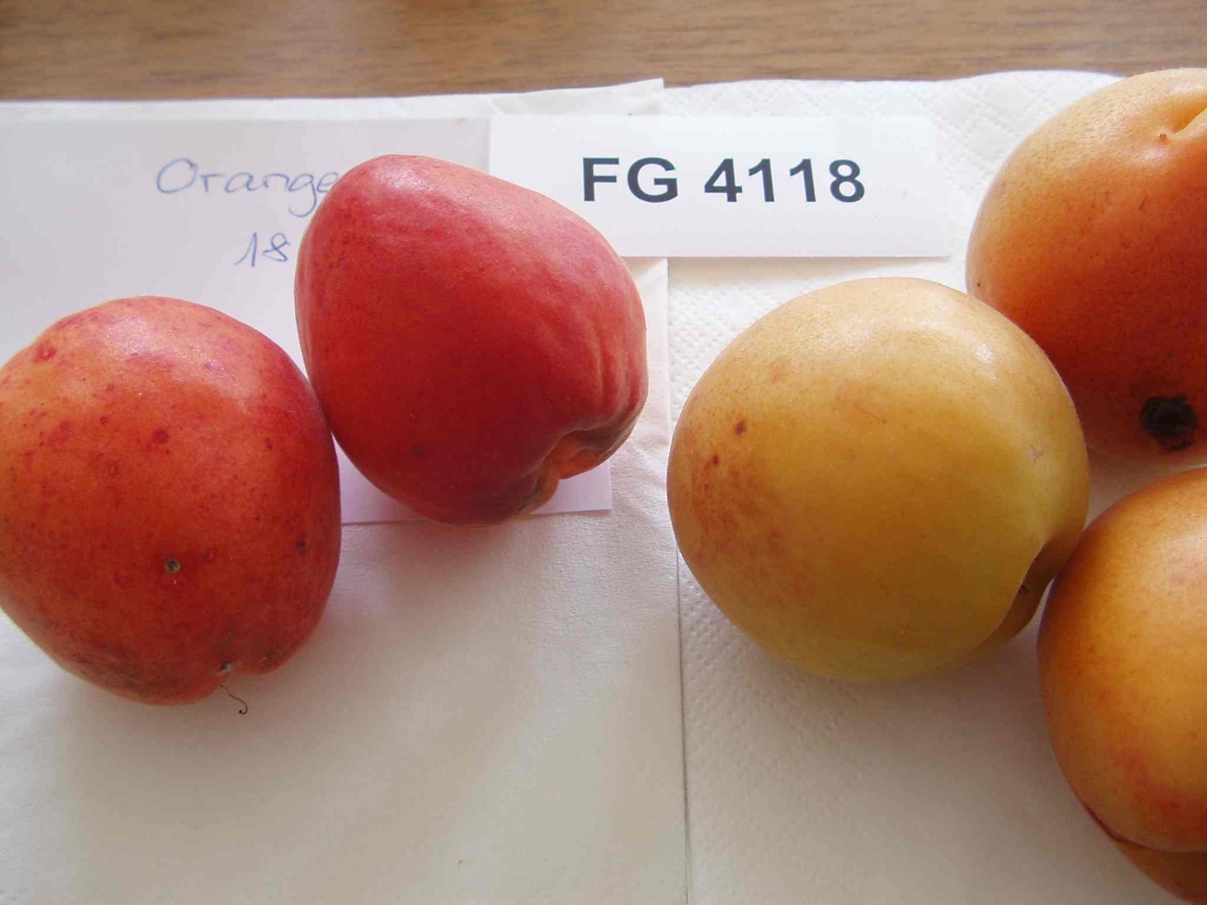 Heido - VariCom GmbH