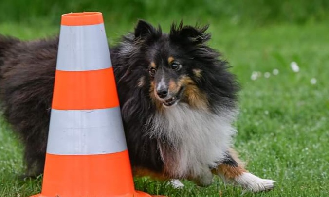 Kurse - maya-bachmanns Webseite!