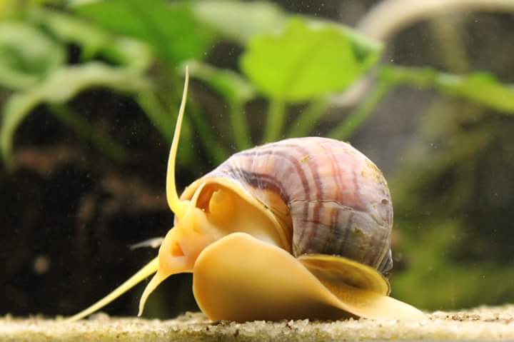 Wir stellen uns vor. - aqua-first-aids Webseite!