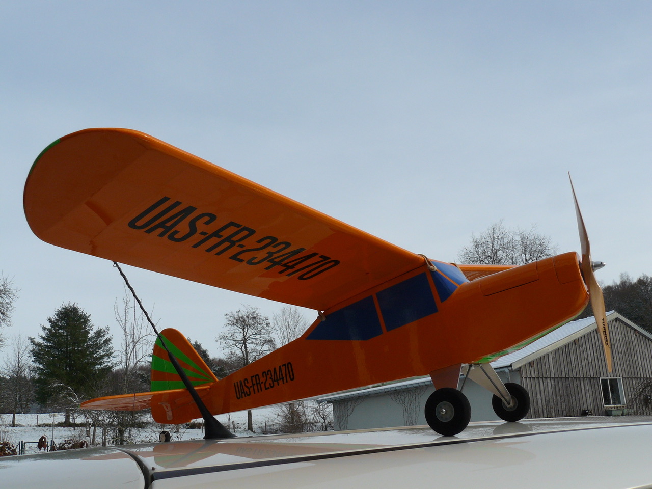 Shop Robbe Rasant - aumann-rc