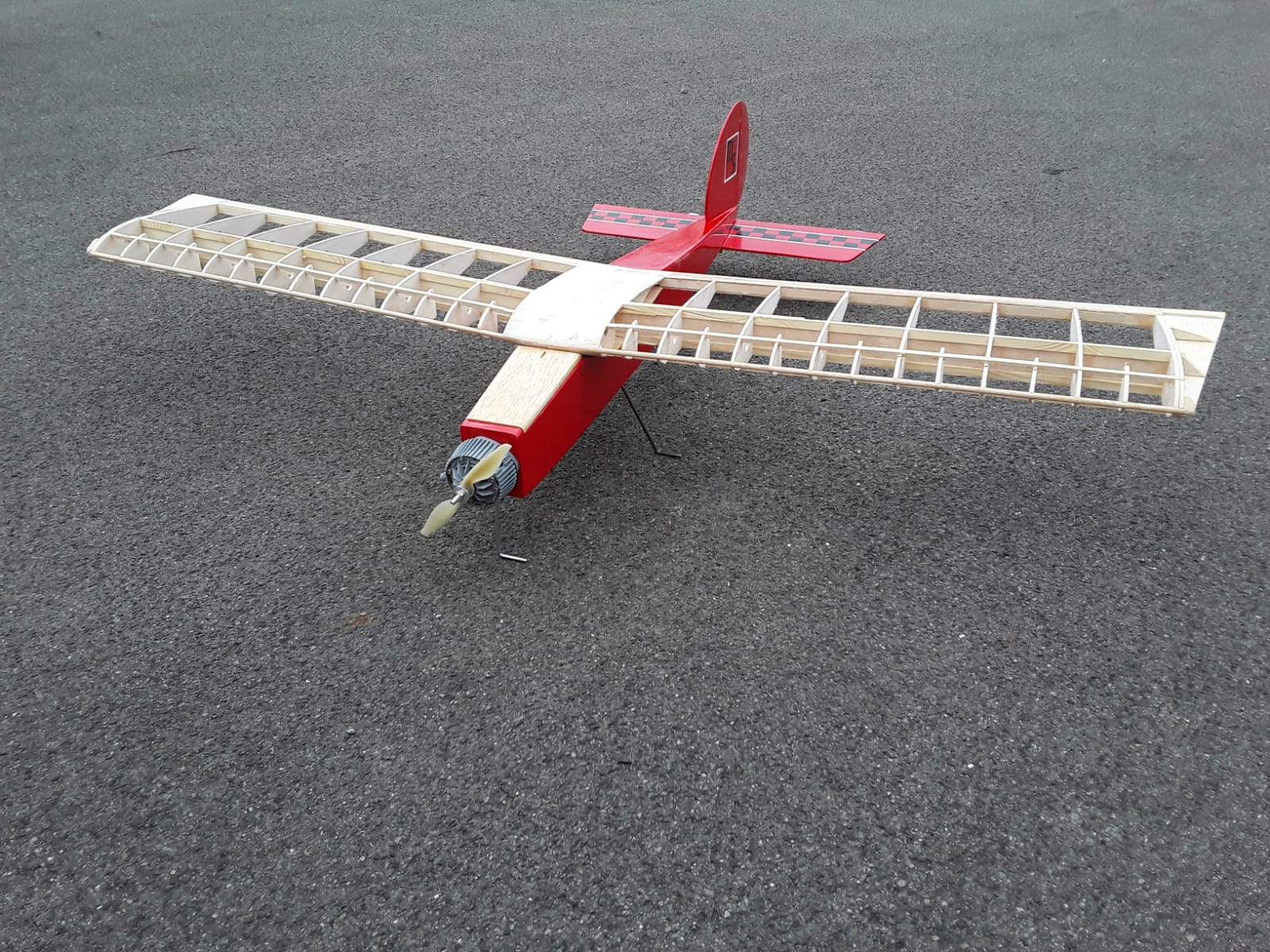 Shop Robbe Rasant - aumann-rc