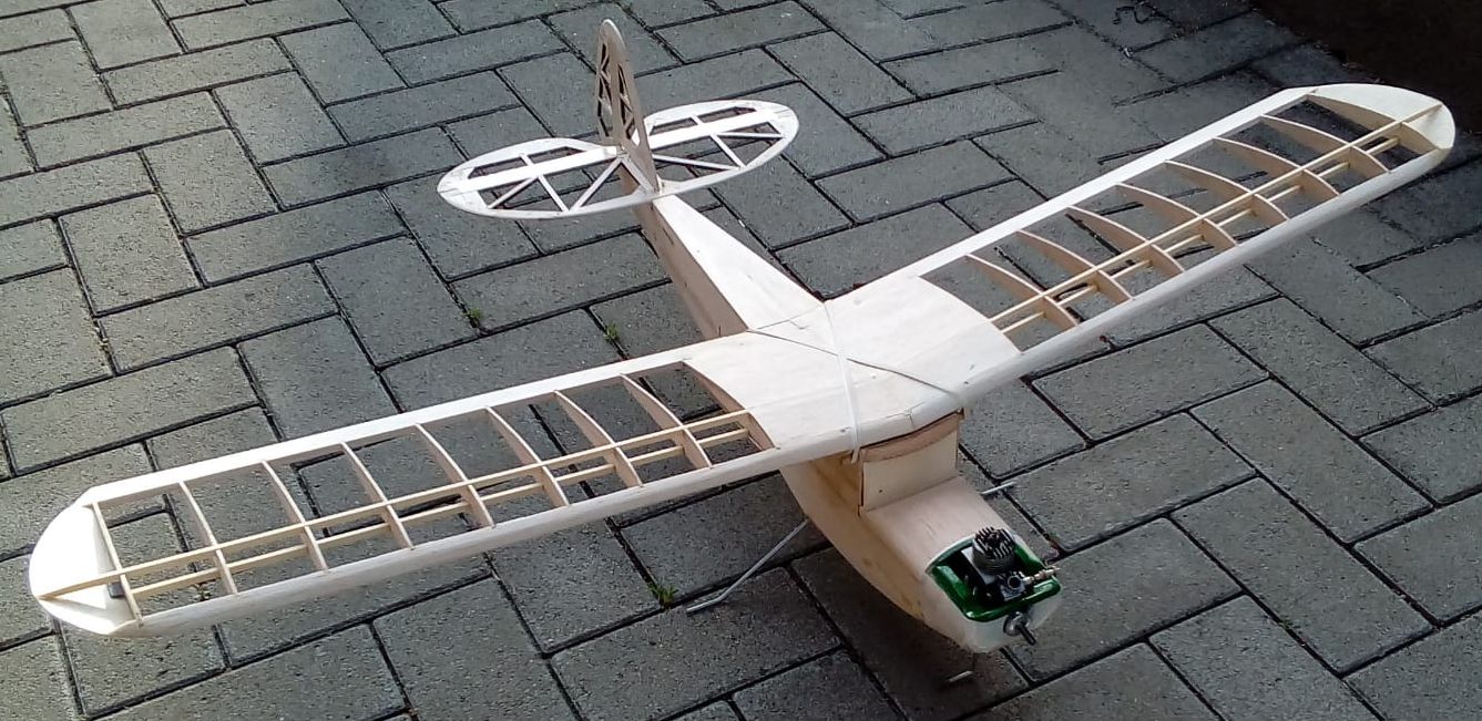 Shop Robbe Rasant - aumann-rc