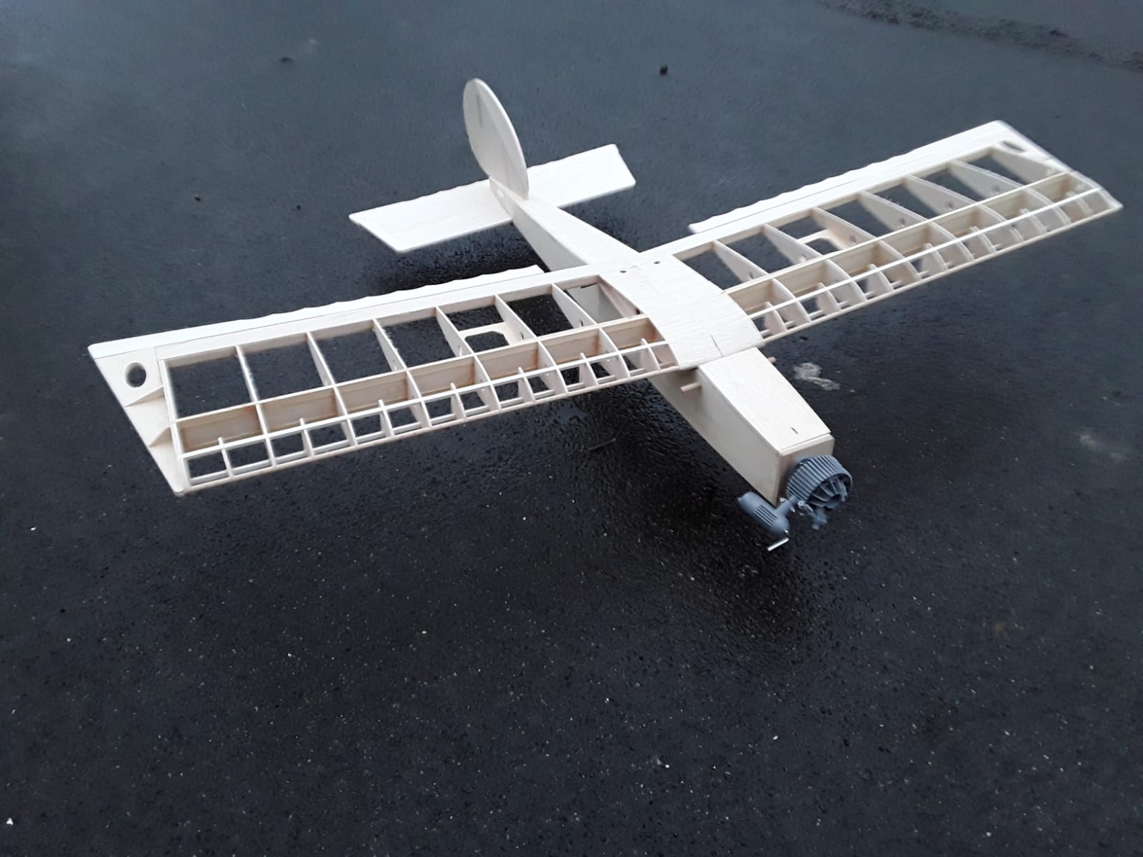 Shop Robbe Rasant - aumann-rc