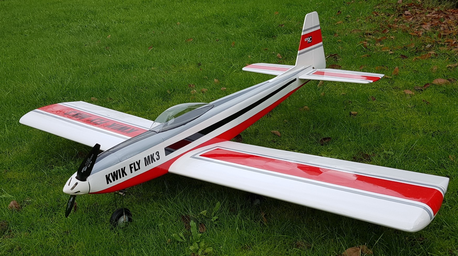 Shop Robbe Rasant - aumann-rc