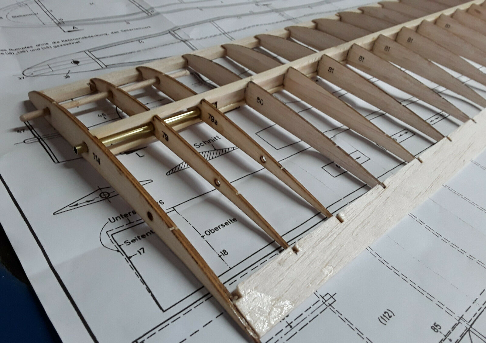 Shop Robbe Rasant - aumann-rc