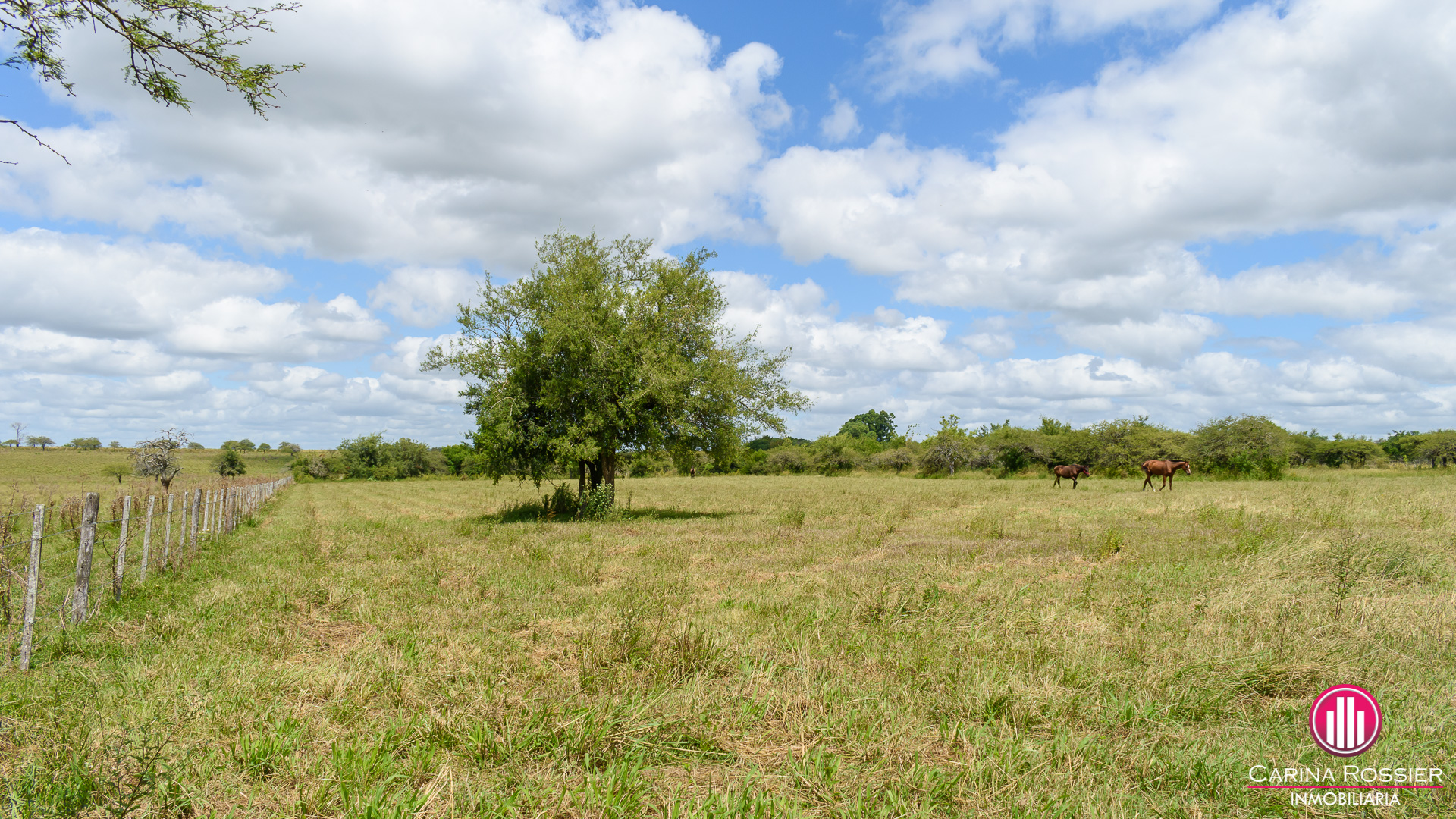 VT-010 - Carina Rossier Inmobiliaria