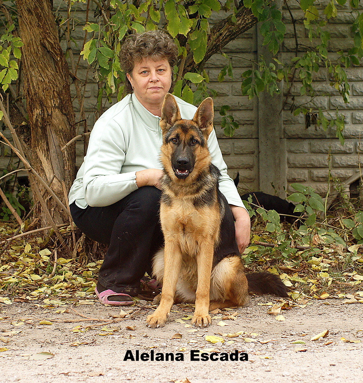 TIARA FON FYURER - Питомник чёрной немецкой овчарки.г.Запорожье ...