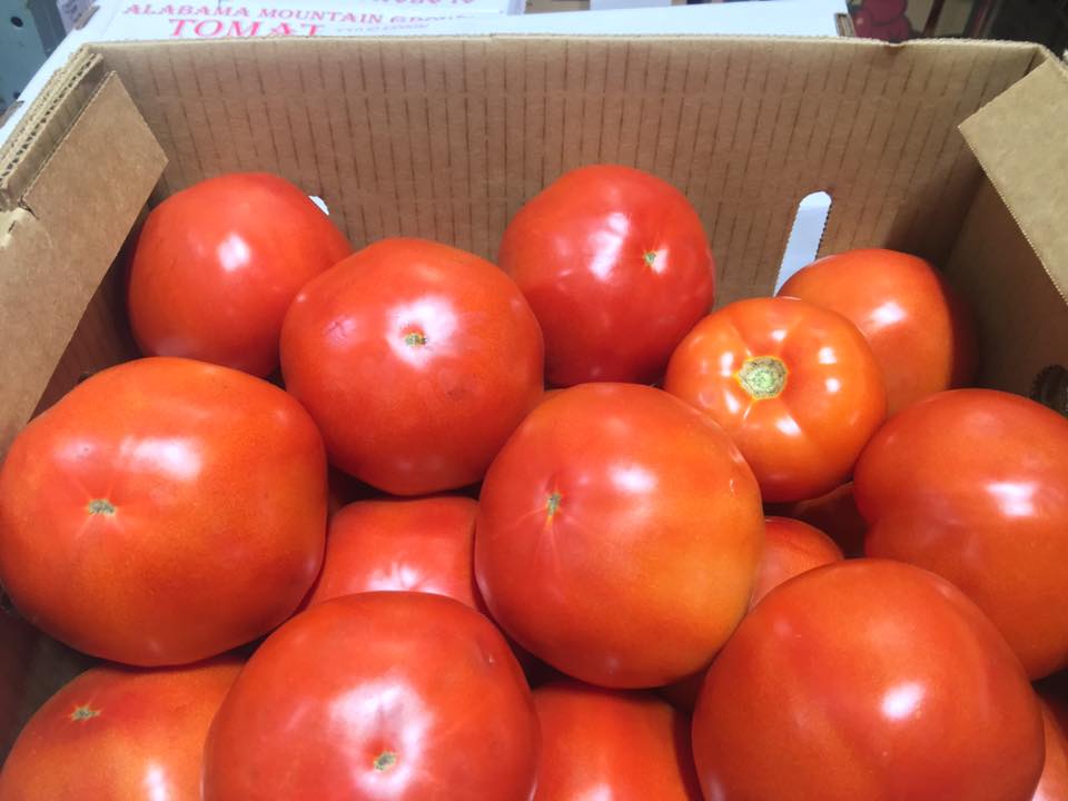 Our Premium Round, Roma + Snacking Tomatoes - Smoky Mountain Family Farms