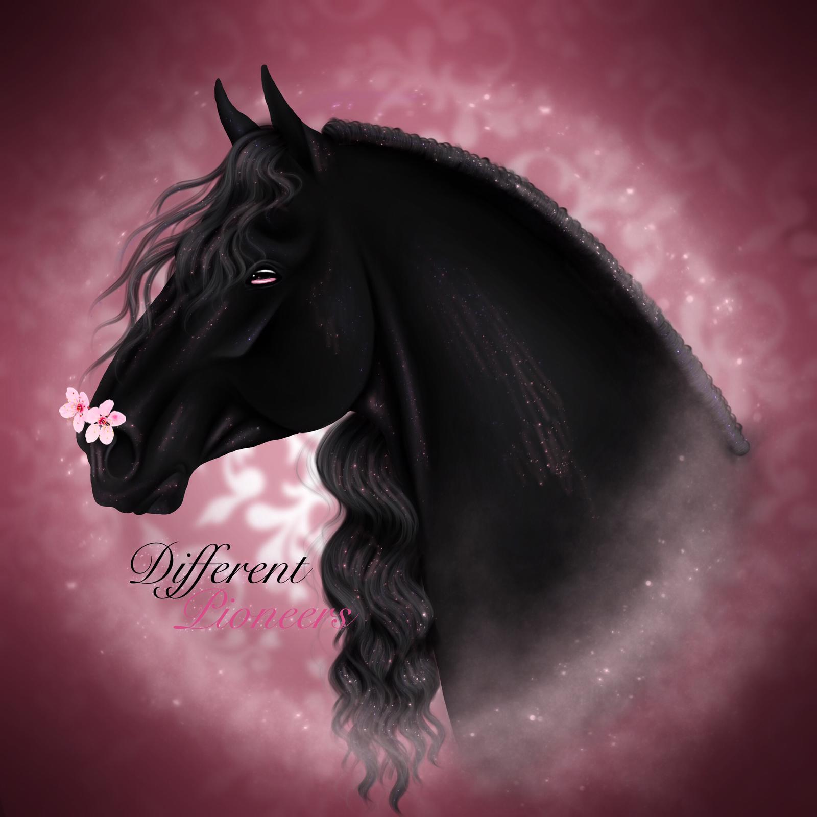 Rang-System - ssodifferentpioneerss Webseite!