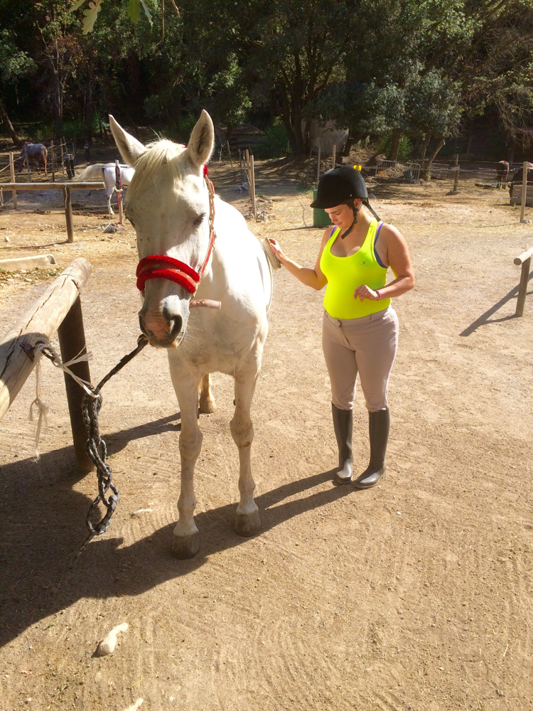 Equi'Handi - jpequitation - Jordan PIQUET