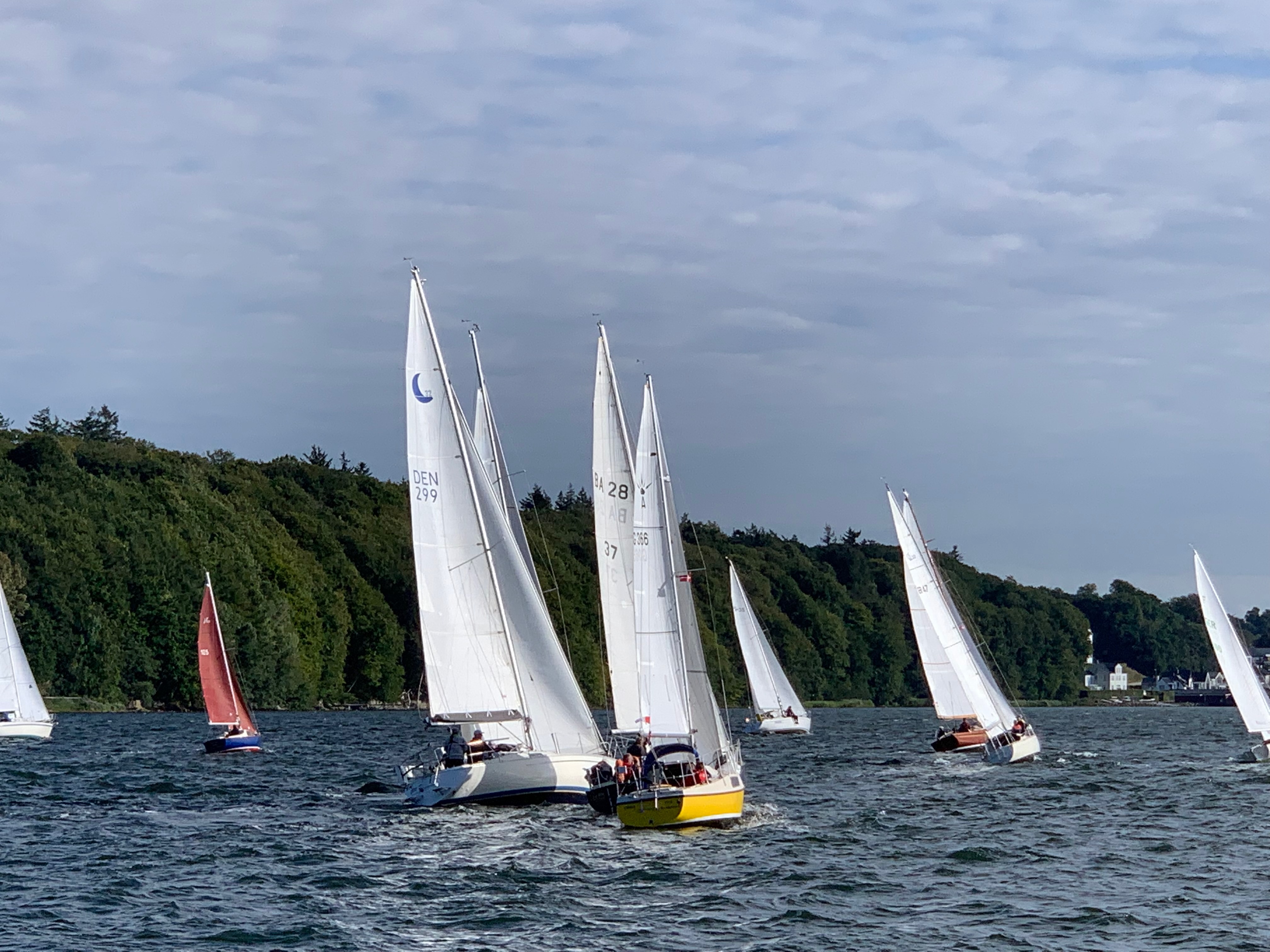 Historie - Cappy-Cup Regatta