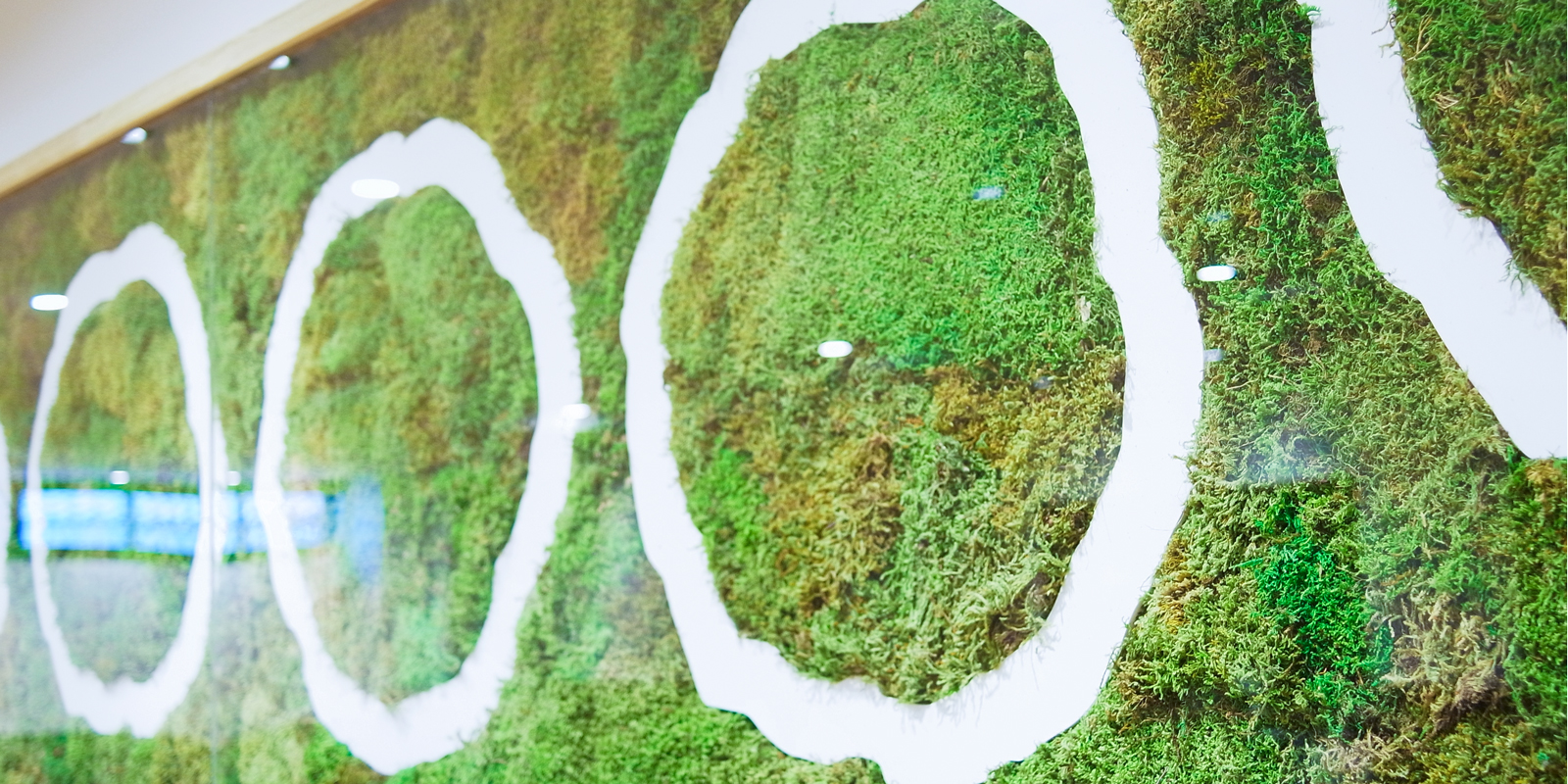 Home made - KIYOMIZU KYOAMI 清水京あみ | 京都東山、清水寺参道に位置する八ッ橋しゅーとコーヒーのお店